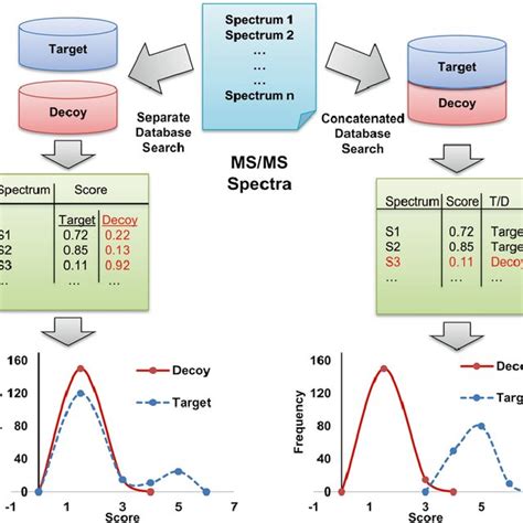 Pdf False Discovery Rate Estimation In Proteomics