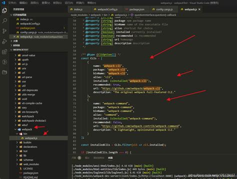 Webpack Dev Server配置失败的原因 源码巴士