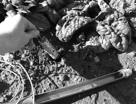 Monitoring Soil Moisture To Improve Irrigation Decisions Ontarioca