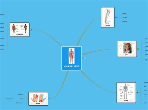 Sample Mind Map Mindomo Mind Map