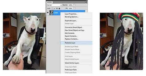 Finally Figured Out How To Rasterize Layers In Photoshop Album On Imgur