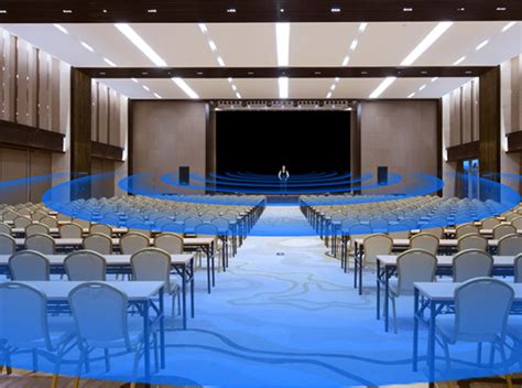 Dsppa Immersive Audio Sound System For Sale