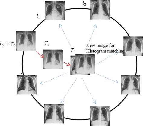 Illustration Of The Histogram Matching Process In Our Datasets Download Scientific Diagram