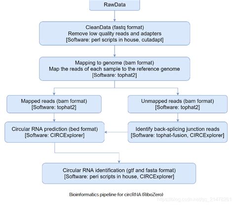 Omics精进07转录组之mrnamirnalncrnacircrna测序简介pythonic生物人的博客 Csdn博客