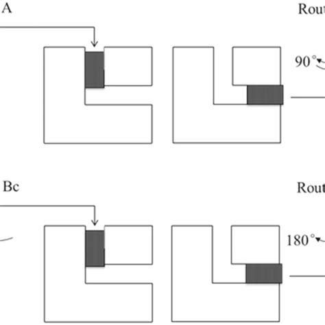 Four Routes Of The Ecap Process Download Scientific Diagram