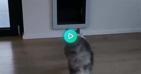 Reconocimiento Para Salir Album On Imgur