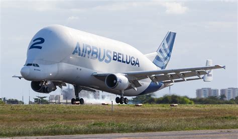 Airbus Beluga Transport Applies To Fly To The United States