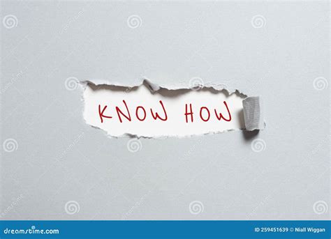 Text Caption Presenting Know How Business Overview The Process To