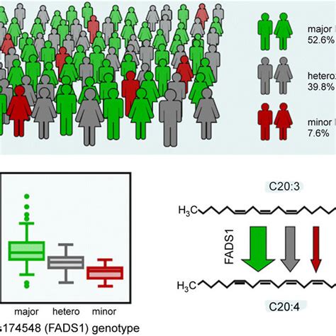 Metabolomics A Global Biochemical Approach For Disease Sub