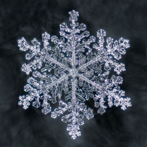 How To Photograph Snowflakes And Blow Your Mind Craig Goodwin