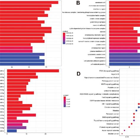 The Results Of Gene Ontology Go Functional Analyses And Kegg Pathway