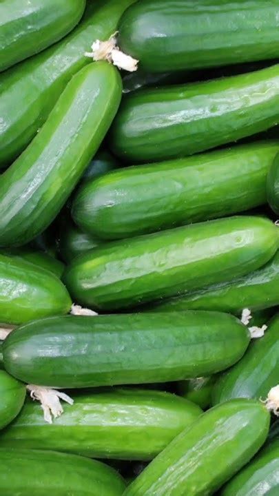 تصميم لي انيستا Youtube