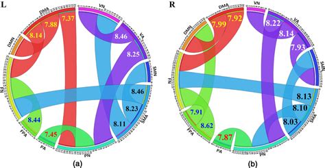 Functional Interconnections Between Thalamic Subregions And Cortical Download Scientific