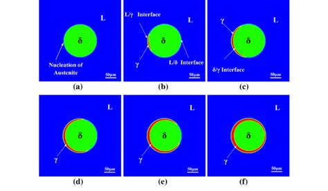 Simulation Of Peritectic Reaction Process During The Solidification Of