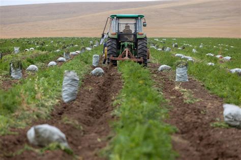 Монгол Улсын Ерөнхийлөгч Дархан Уул аймагт ажиллалаа