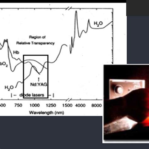 Variation Of Absorption Coefficients Of Hemoglobin Oxyhemoglobin And Download Scientific