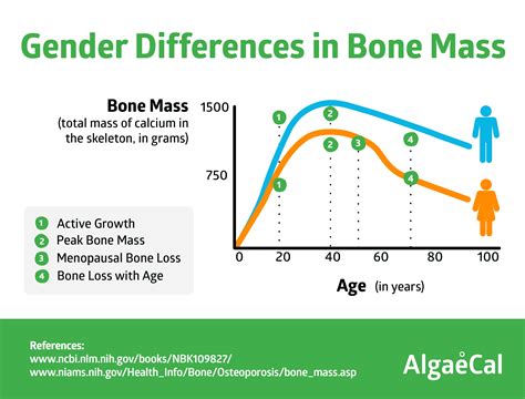 What Is A Normal Bone Age At Victoria Horton Blog