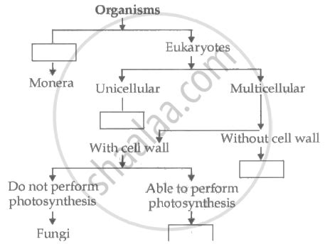 Complete The Flow Chart Organisms Shaalaa Com