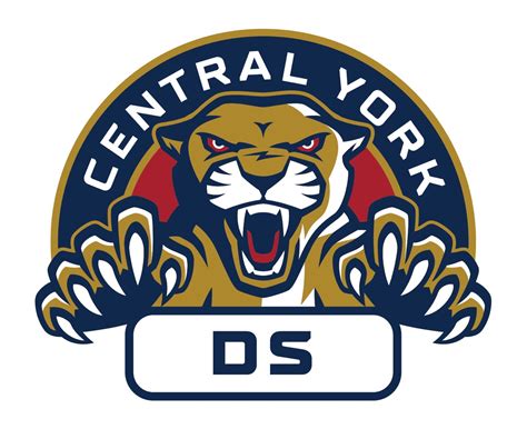 Development Stream Ds Central York Girls Hockey Association
