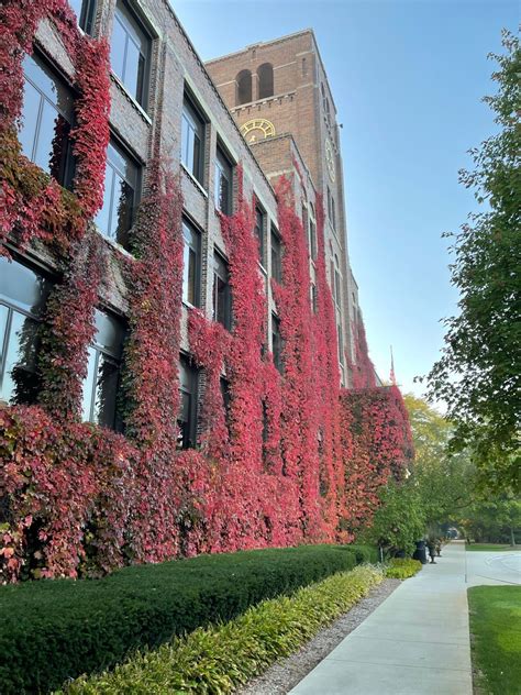 Its My Favorite Time Of Year To Walk Around Kohler Co 😁 Nicholas Bender