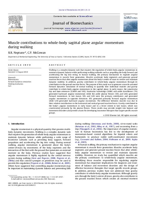 Pdf Muscle Contributions To Whole Body Sagittal Plane Angular