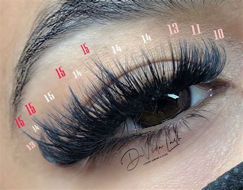 Whispy Look Lashes Fake Eyelashes Perfect Eyelashes Lash Extensions