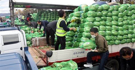 엄궁농산물도매시장 사랑의 김장배추 나눔행사