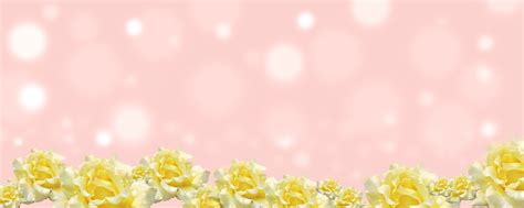 파스텔 색의 꽃 구성에 합쳐진 다채로운 장미가있는 꿈꾸는 그라디언트 배경 꽃 테두리 프레임 및 복사 공간 템플릿 배너 0명에 대한 스톡 사진 및 기타 이미지 Istock