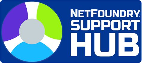 how to install and run ziti desktop edge on windows netfoundry