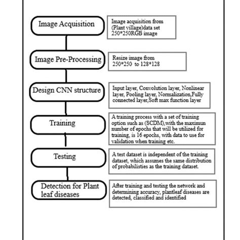 General Diagram for Plant Leaf Diseases Detection and Classification ...