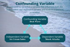 What Is A Confounding Variable Definition And Examples
