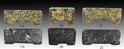 How Bats Hunt At Night Using Advanced Echolocation