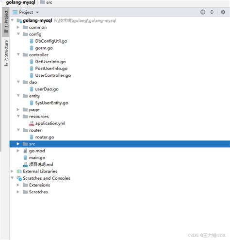 golang通用后台管理系统01（多表联合orm） golang 后台管理系统 csdn博客