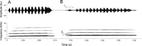 Oscillogram And Audio Spectrogram Of A The Advertisement And B The