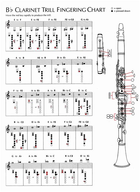 Clarinet Fingering Chart B Flat Minimalist Chart Design