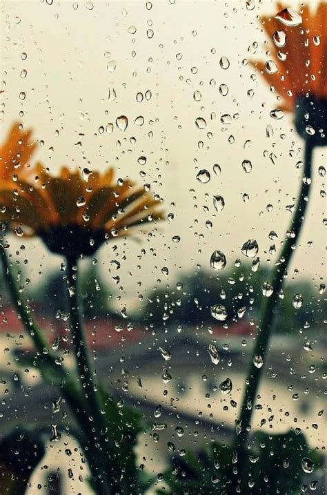 [2200 ] Aesthetic Rain Wallpapers