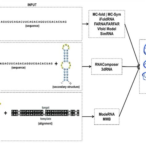 Input And Output Files Of RNA Tertiary Structure Prediction Tools Download Scientific Diagram