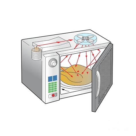 Microwaves Science