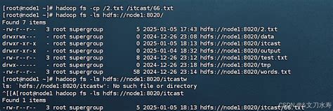Hadoop 基础指令以及示意hadoop命令 Csdn博客