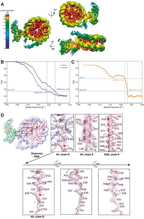Figures And Data In Structural Basis For Prc2 Decoding Of Active Histone Methylation Marks