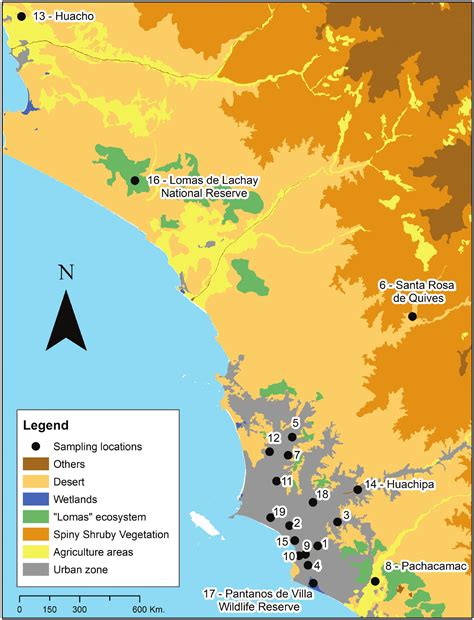 Hourly Activity Patterns Of The Insectivorous Bat Assemblage In The