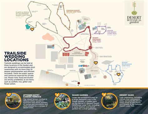 Desert Botanical Garden Code At Chloe Snider Blog
