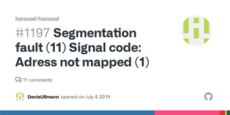 segmentation fault 11 signal code adress not mapped 1 · issue