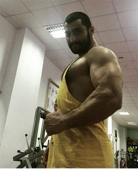 Untitled — Hairy Alpha Baku