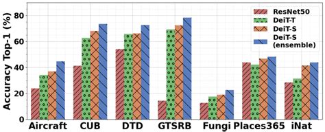 Understanding Vision Transformers Vits Hidden Properties Insights And Robustness Of Their