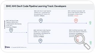 BMC AMI DevX Training BMC Software BMC AMI DevX Training BMC Software