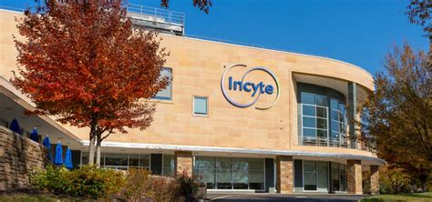 Monjuvi Hits In The Front Line But What About Revlimid Apexonco