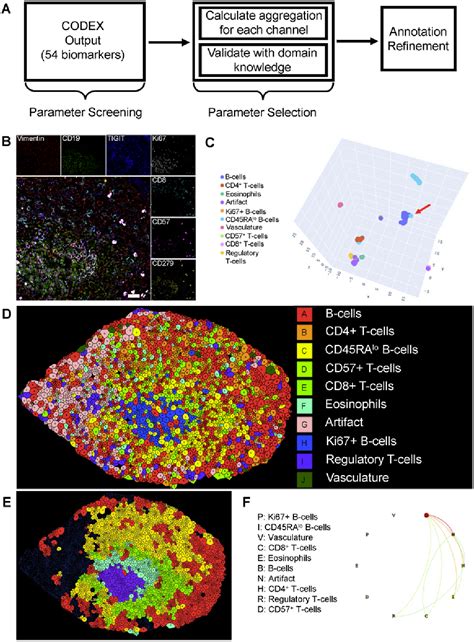 Figure From Automated Spatial Omics Landscape Analysis Approach Reveals Novel Tissue