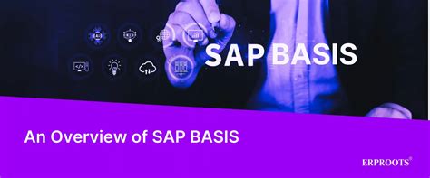 What Is Sap Basis A Guide To Roles And System Architecture