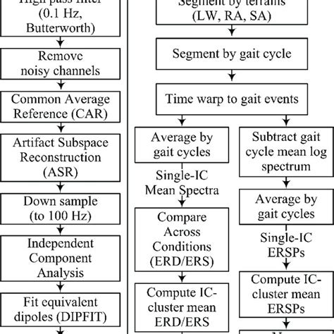 flow chart indicating eeg data processing pipeline download